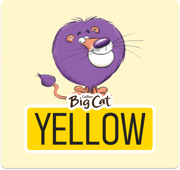 Collins Big Cat — THE NEW KITE: Band 03/Yellow – PPH Website